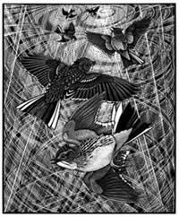 Colin See-Paynton fine art engraving and print-making